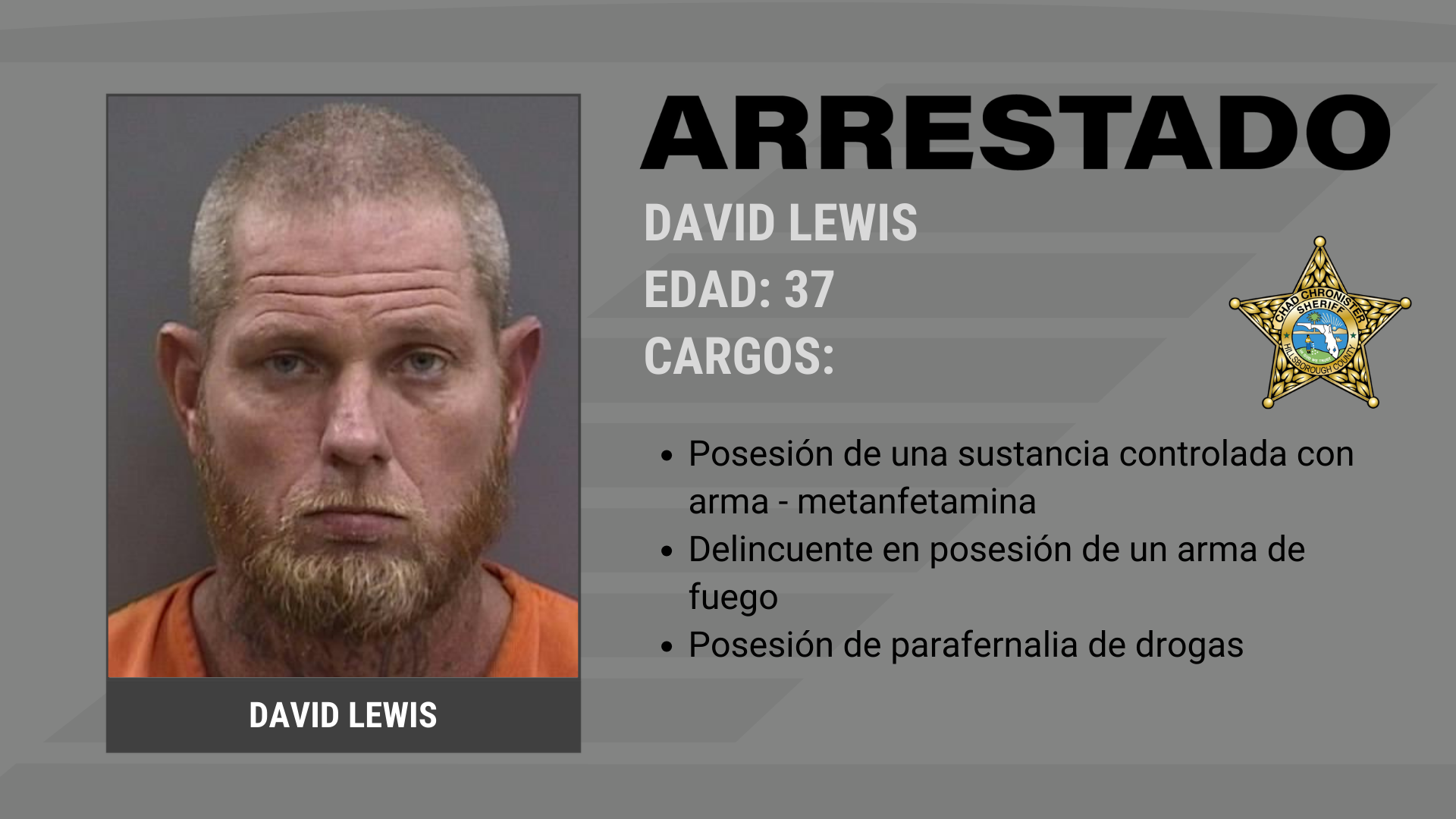Parada de tráfico lleva al arresto de delincuente armado en Riverview ...
